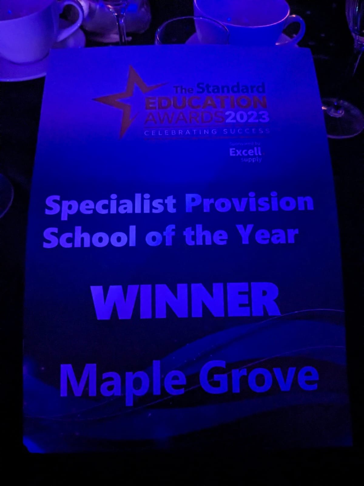 Maple Grove School Wins at the Standard Education Awards - Options Autism